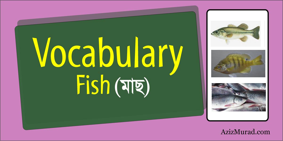 Fish Vocabulary - Aziz Murad